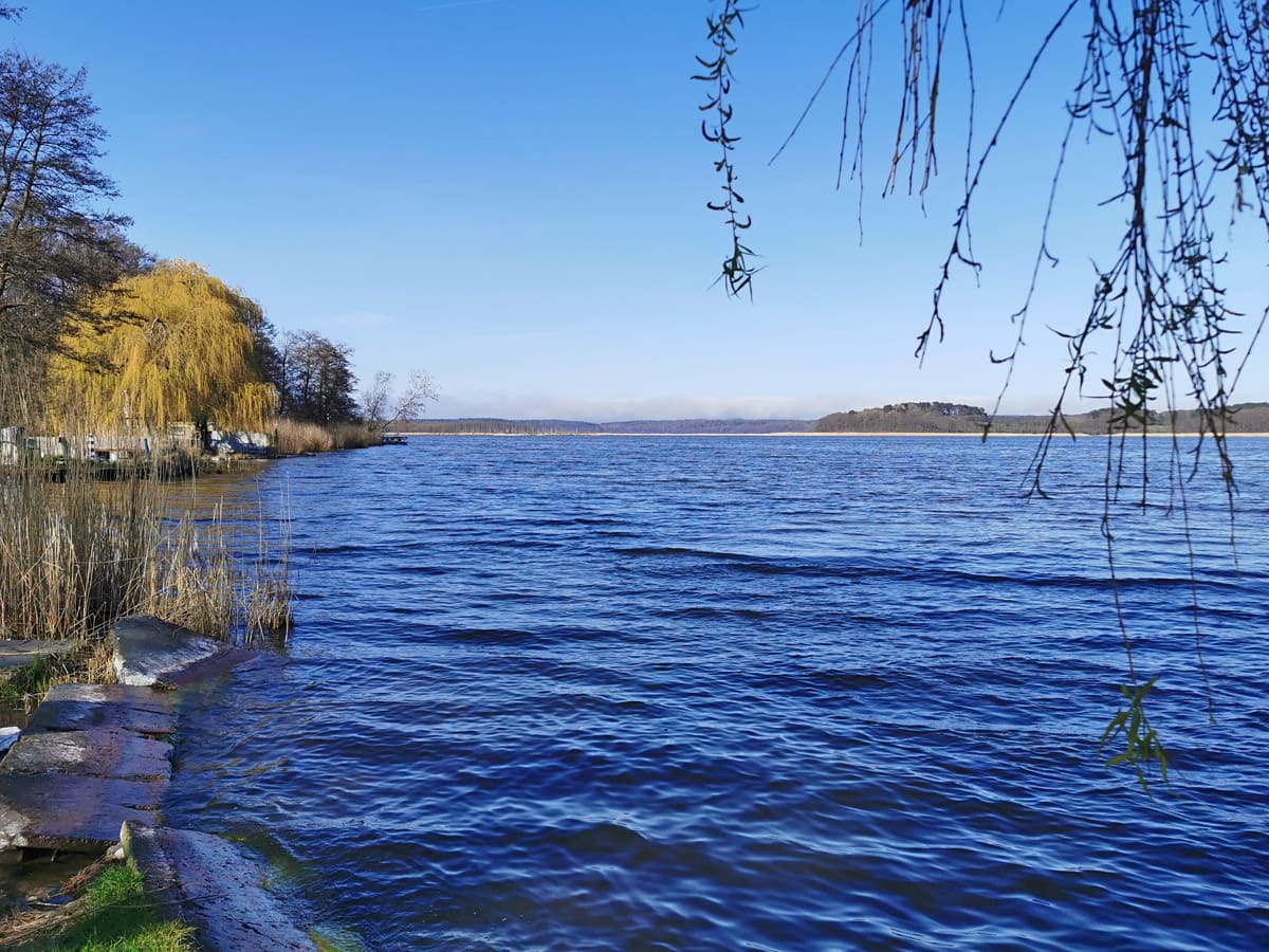 Seen der Insel Usedom